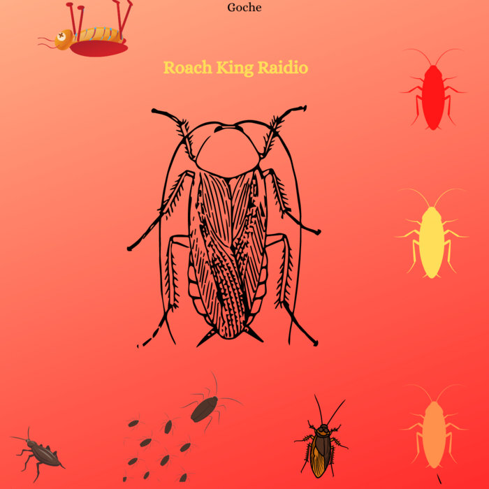 Roach King Radio | Small town people