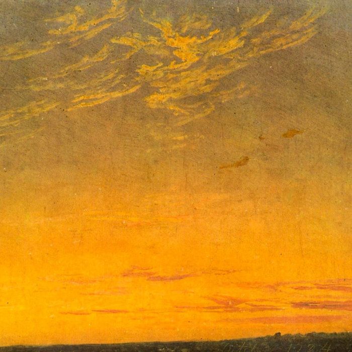 Catch and Release | St. Carolyn