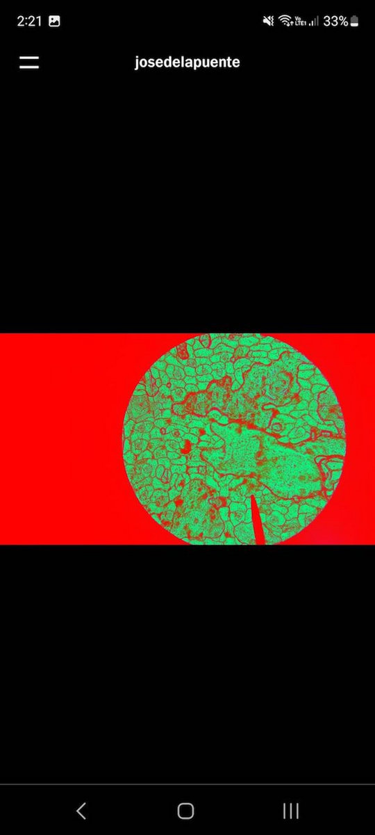 Cynar - (Original Mix) | Vacam