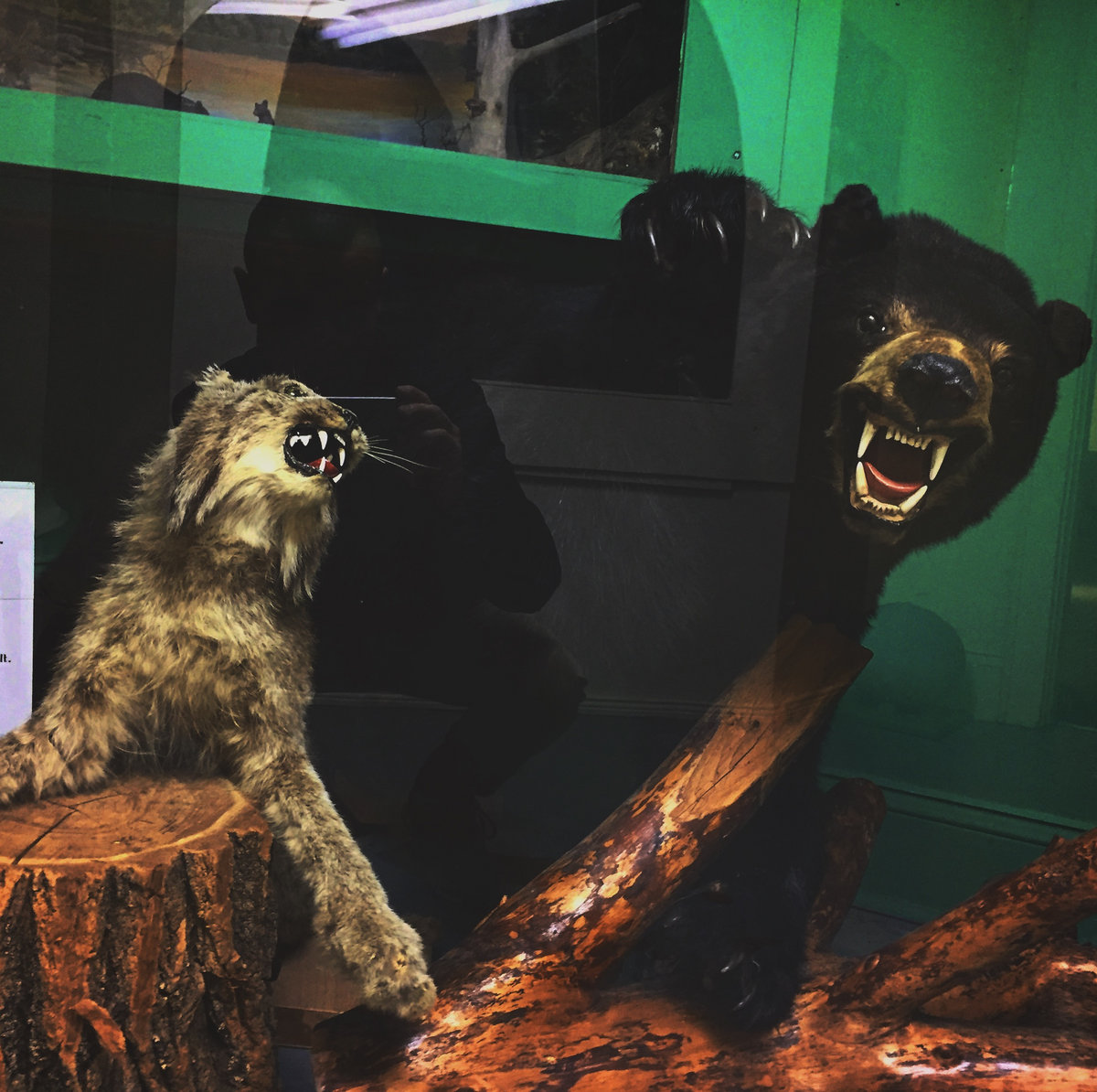 CALL TAILS WHILE HEADS DON'T EXIST | TUESDAYS