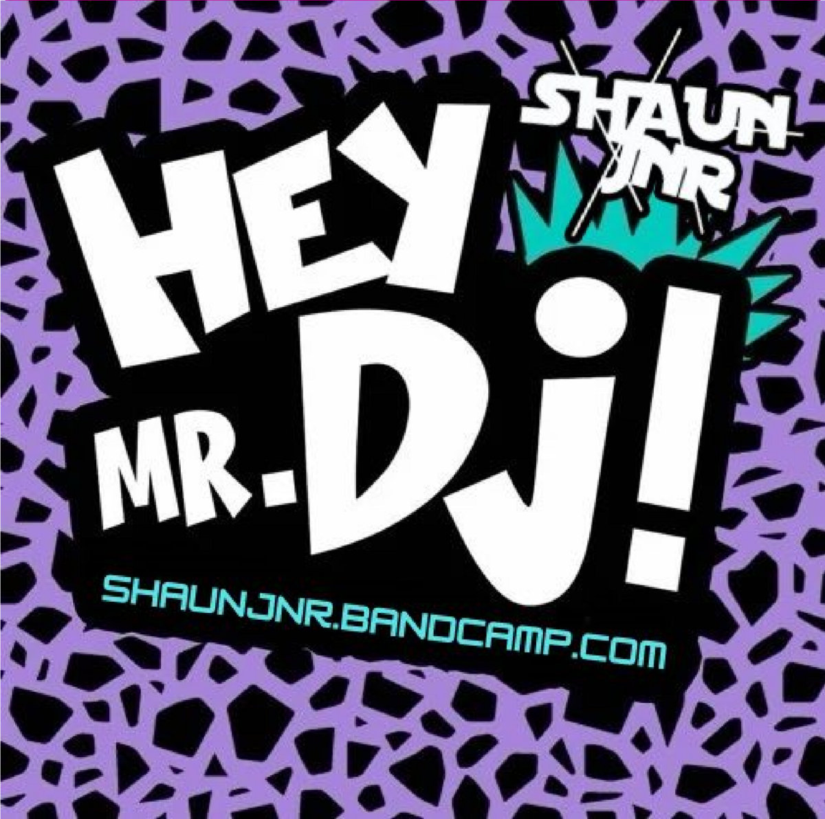 Shaun Jnr - Hey Mr DJ ( 2024 Remake ) Master | SHAUN JNR