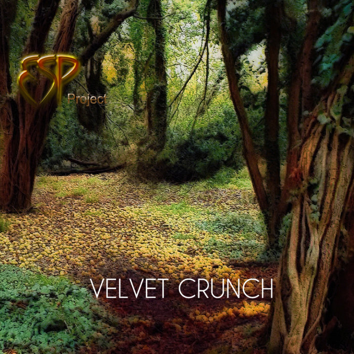 VELVET CRUNCH | ESP Project