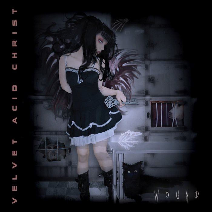 Wound | Velvet Acid Christ
