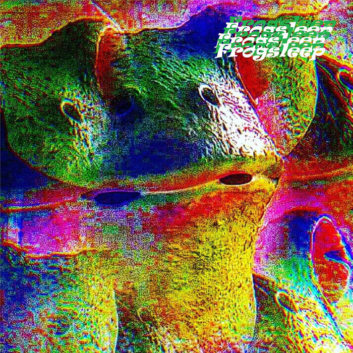 Nocturnal Frogadelic Hallucinations | Frogsleep | Forest of Frogs