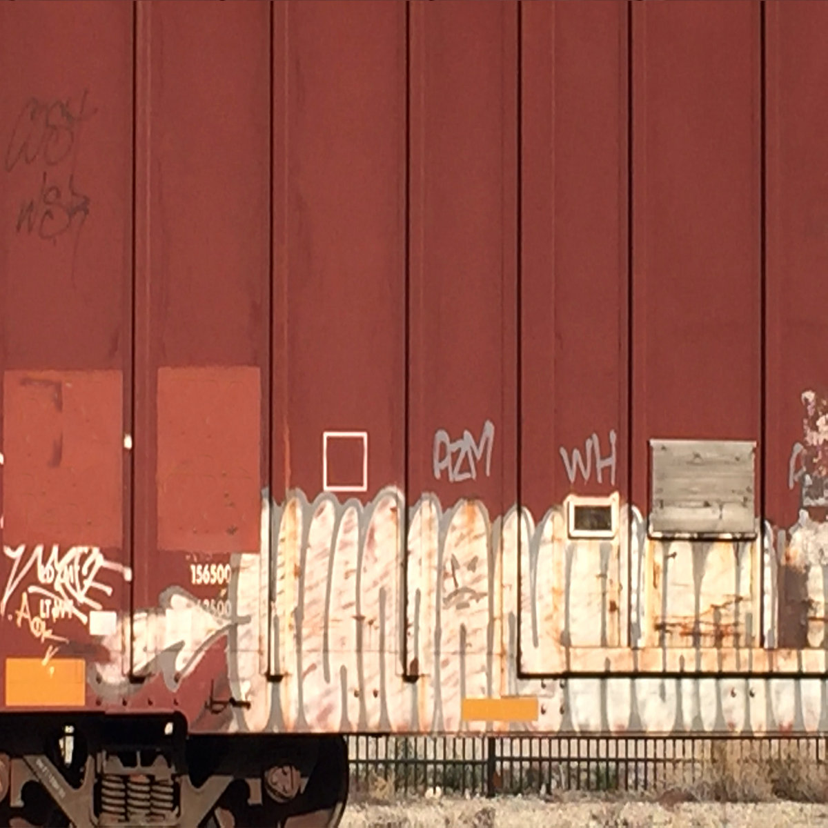 Ambulatory Joy & Suffering | Cecyl Ruehlen