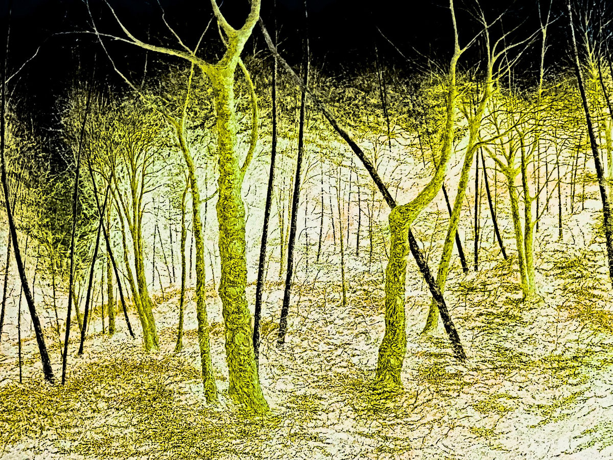 Warble | Marc Barreca