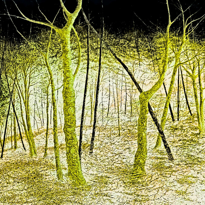 Warble | Marc Barreca