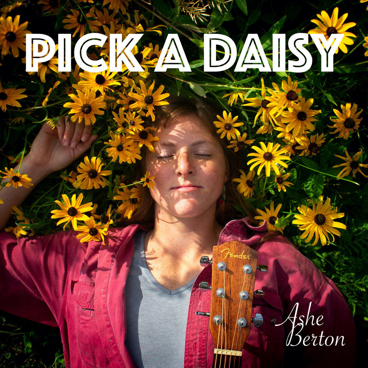 Pick a Daisy | Ashe Berton