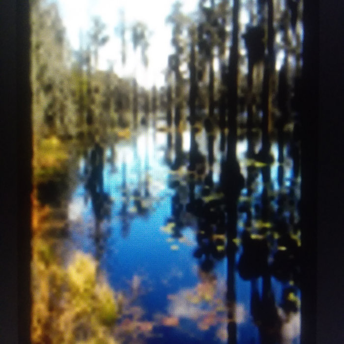 Sentient Wormholes | swamp beacon | Fat Pidgeon Productions