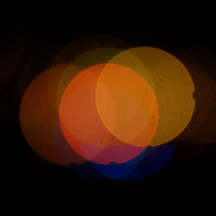 BLINKERS | Timothy Cleary