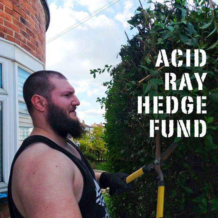 Hedge Fund | Ray The Binman