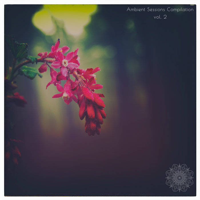 (AS02) Ambient Sessions Compilation vol.2 | Diversity | Deep Electronics