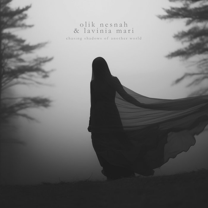 Chasing Shadows of Another World | Olik Nesnah & Lavinia Mari ...