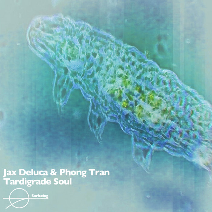 Tardigrade Soul | Jax Deluca & Phong Tran | Surfacing