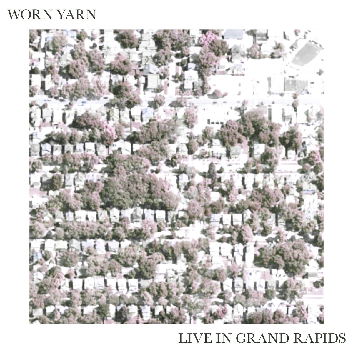 Live in Grand Rapids | Worn Yarn