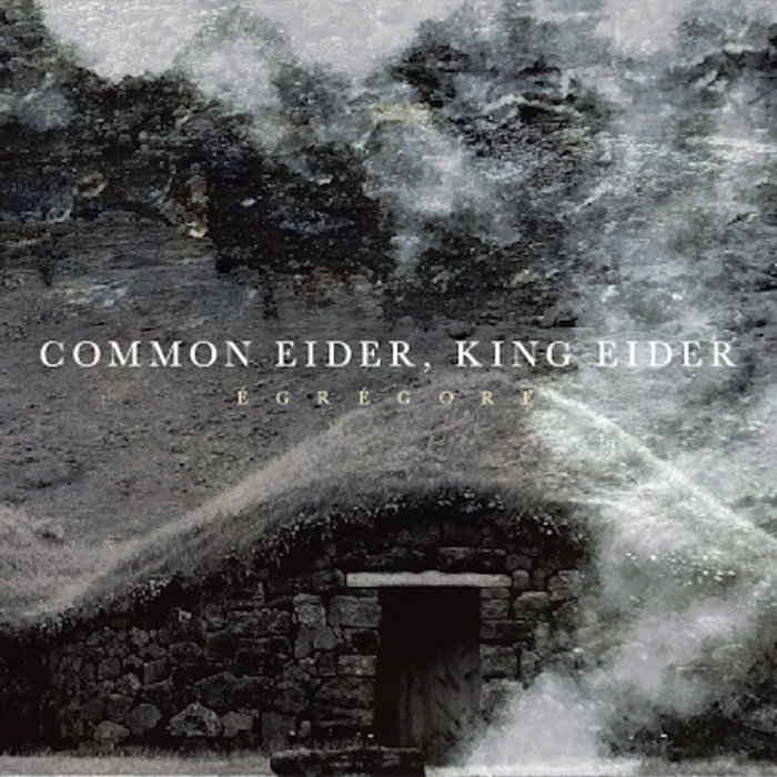 Egregore | Common Eider, King Eider