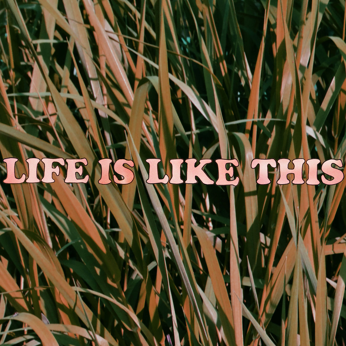 Life Is Like This | Keep for Cheap