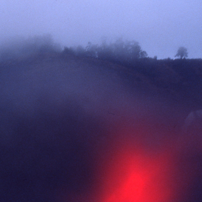 Sharp Tree | China Smith