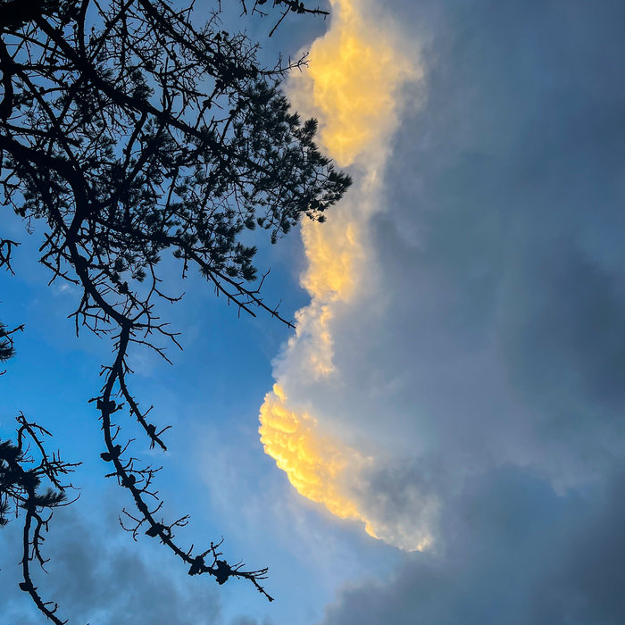 Freezy Day | Don Sinini, Yayoyanoh, James Massiah | Don Sinini