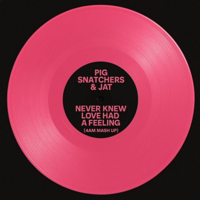 Pig Snatchers & JAT - Never Knew Love Had A Feeling (4am Mash Up) | Pig Snatchers
