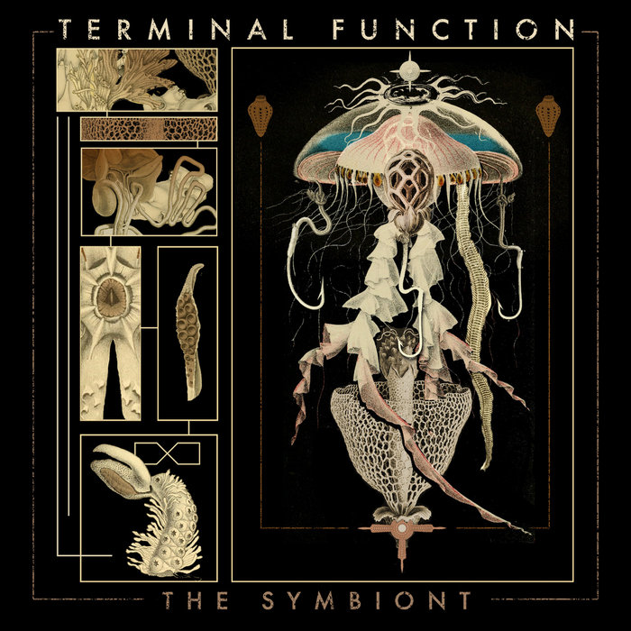 The Symbiont | Terminal Function