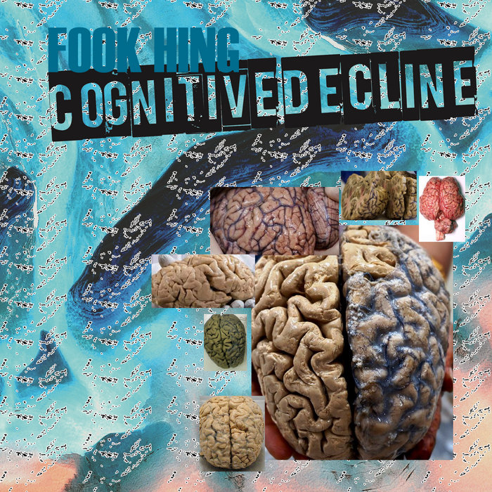 Cognitive Decline | Fook Hing