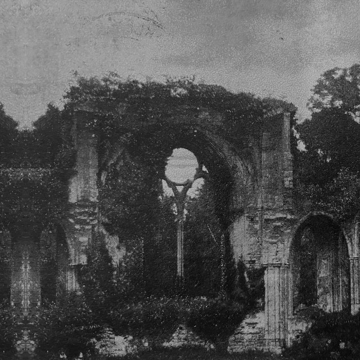 The Guide for the Saturnine | Black Brunswicker