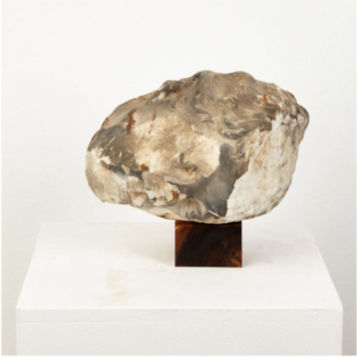 Bildung (Recitativo Secco) | Michal Libera