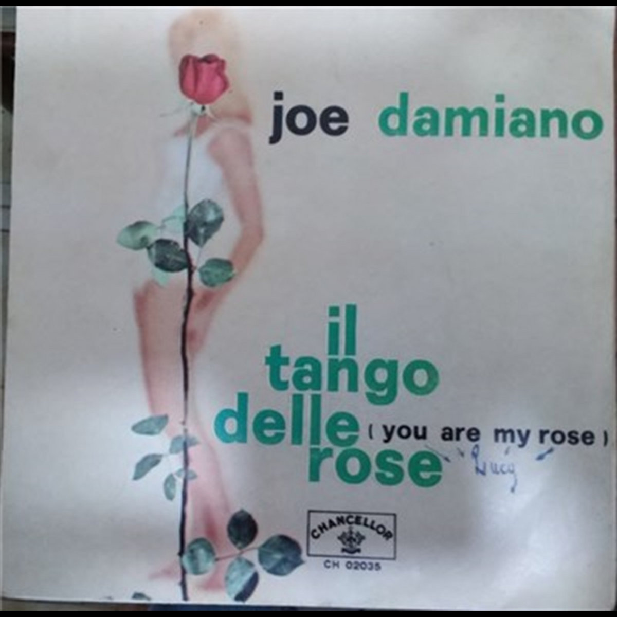 Il Tango Delle Rose You Are My Rose | Joe Damiano