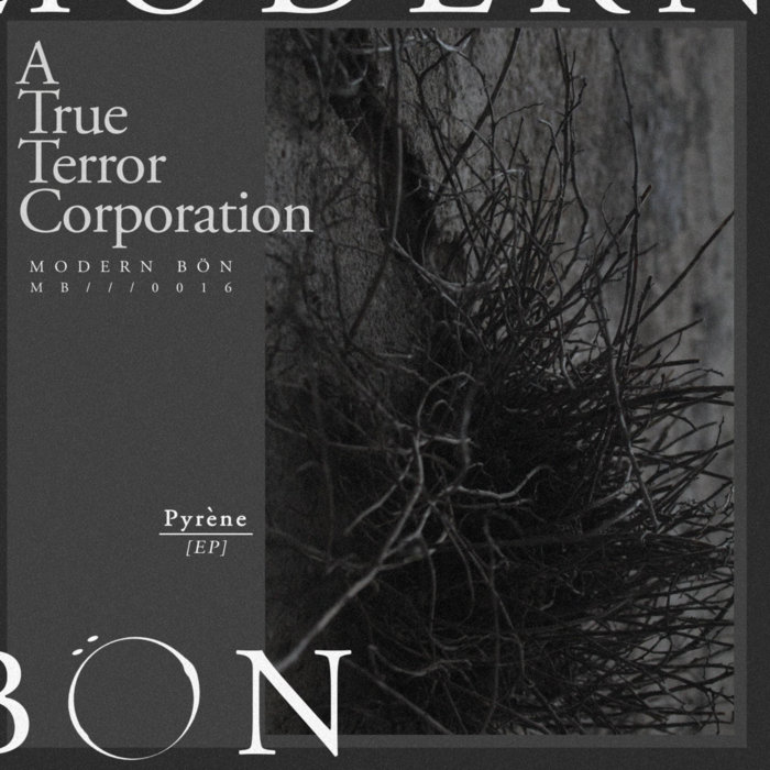 Pyrène | A True Terror Corporation | Incendie