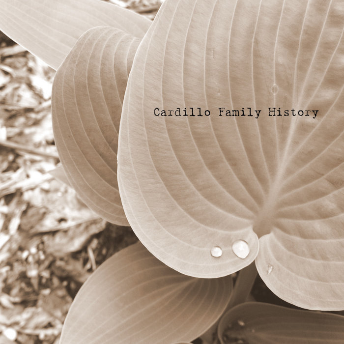 Cardillo Family History | Cardillo Family History