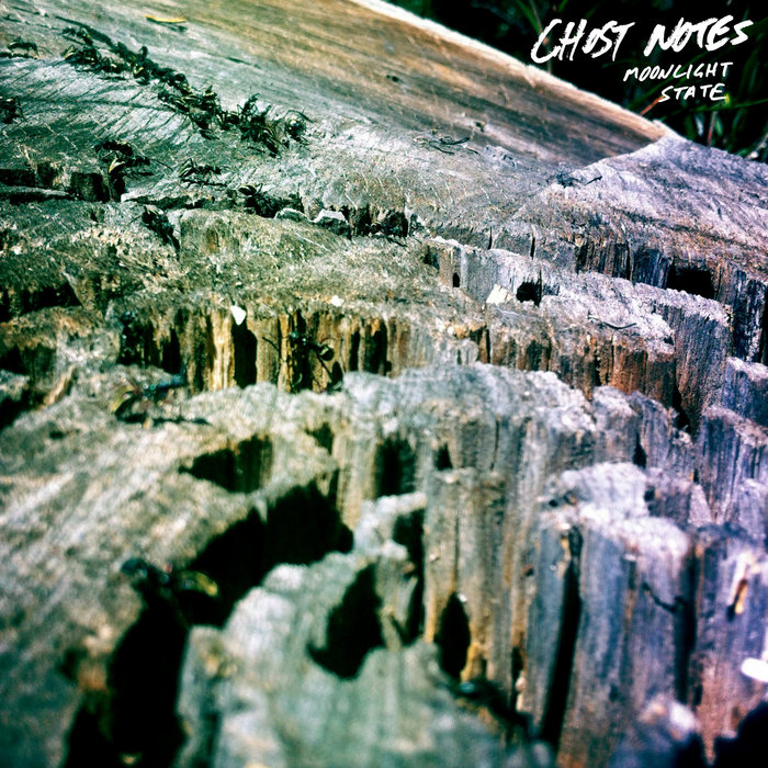 Moonlight State | Ghost Notes | Sonic Masala Records