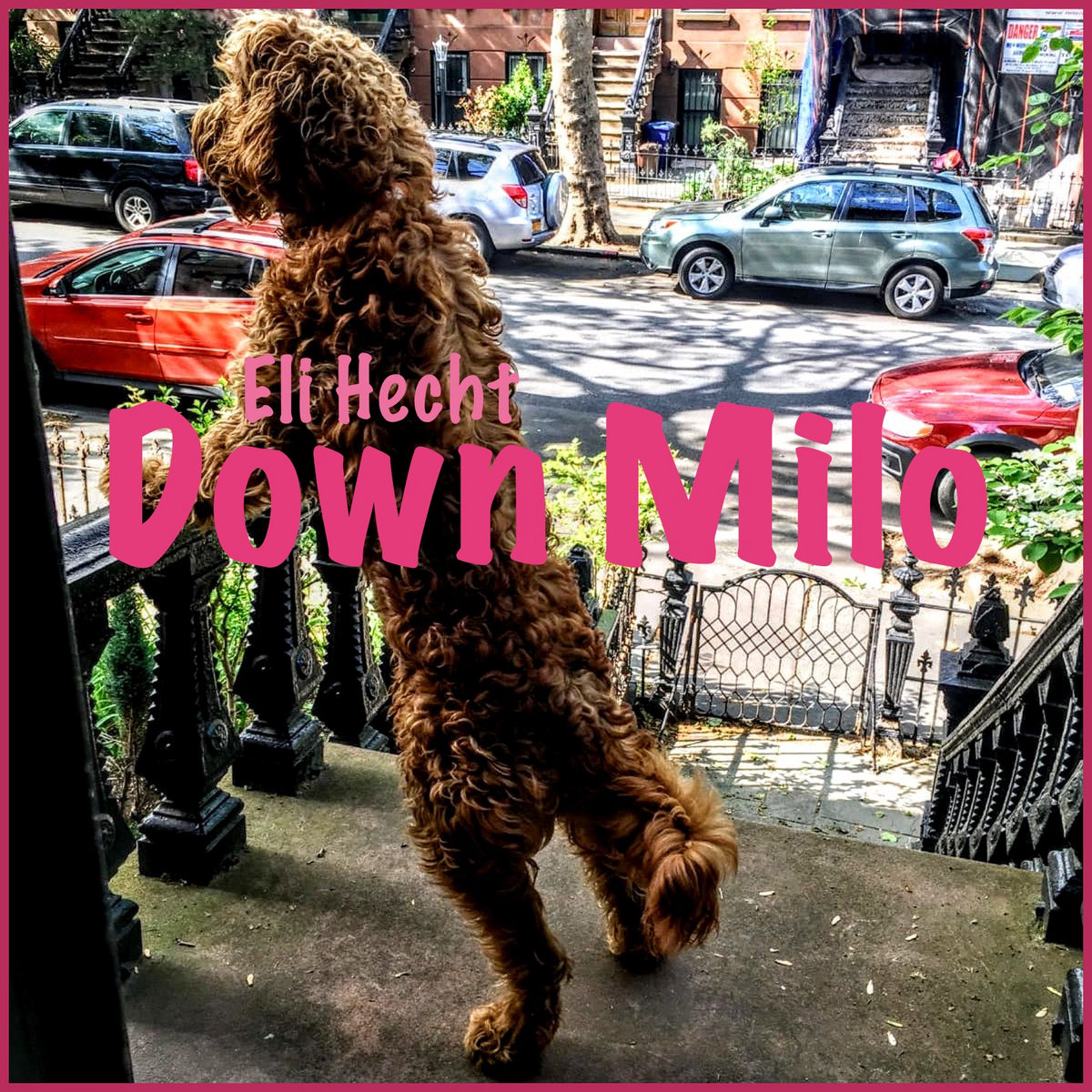 Down Milo | Eli Hecht