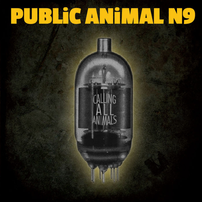 CALLING ALL ANIMALS | PUBLIC ANIMAL #9