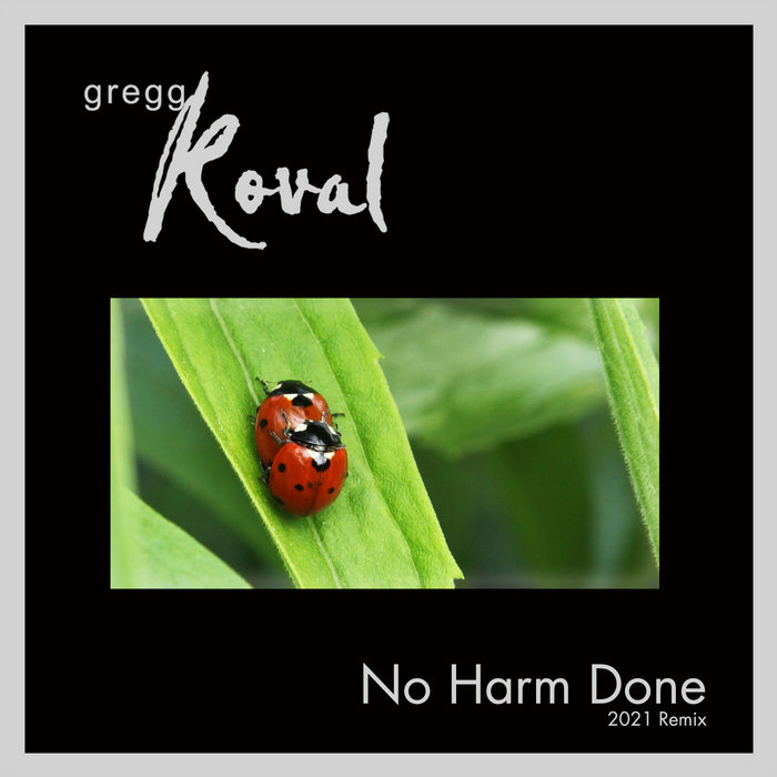 No Harm Done (2021 Remix) | Gregg Koval
