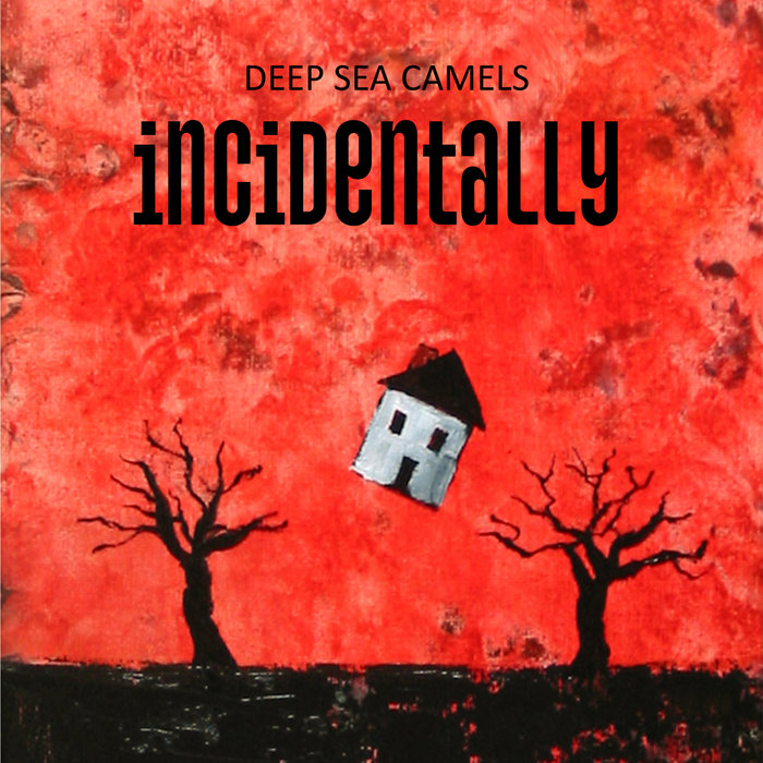 Incidentally | DEEP SEA CAMELS