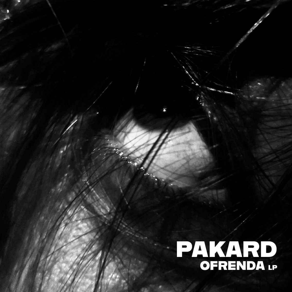 Pakard - Sigo Como Hay Que Seguir | Pakard