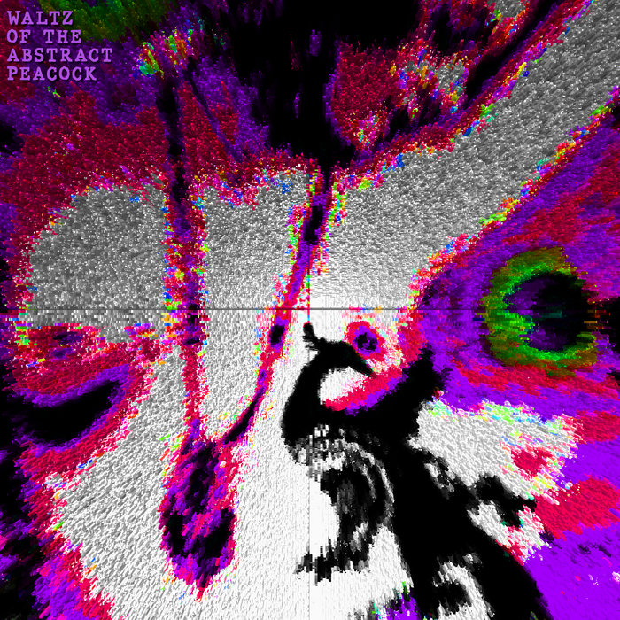 Waltz Of The Abstract Peacock | The Owl