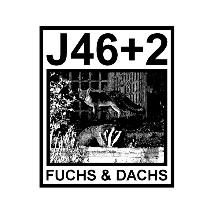 Fuchs & Dachs | J46+2 | Maya Schwarze Katze