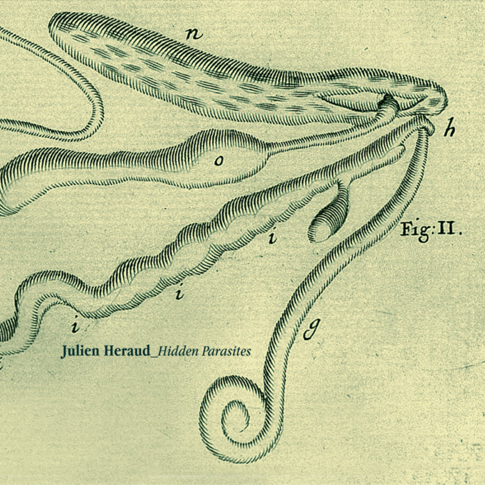 Hidden Parasites | Julien Heraud | fernsrecordings