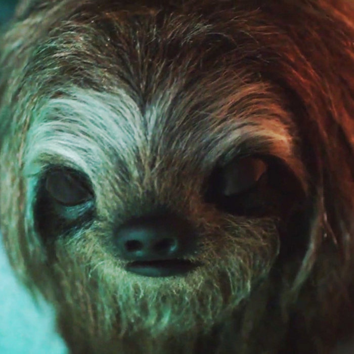 STONER SLOTH | Dysphemic