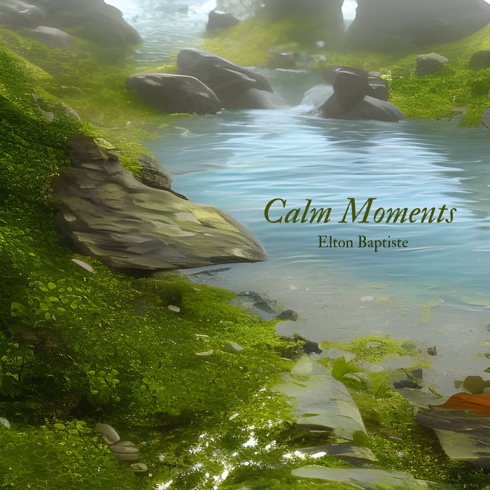 Calm Moments | Elton Baptiste