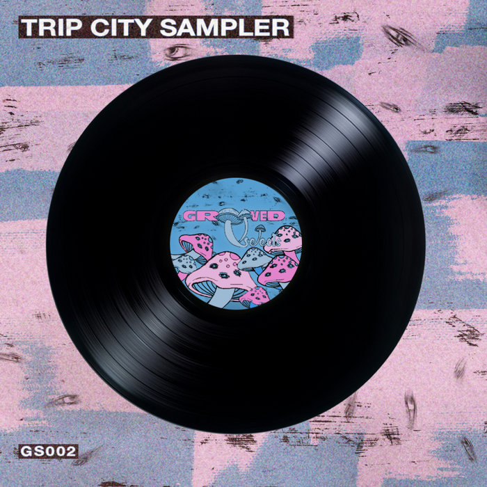 Trip City Sampler Various Artists Grooved Selects