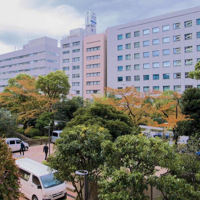 Nova | Power Pyramid