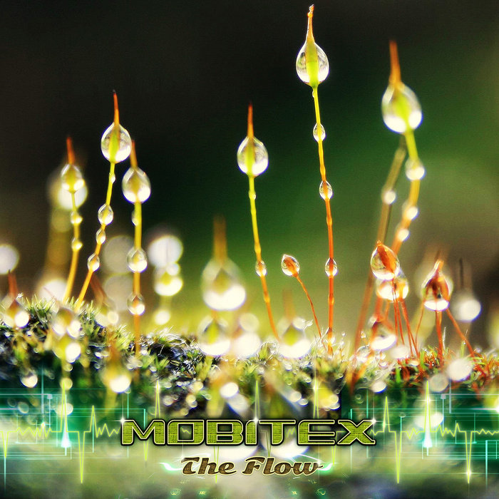 The Flow | MOBITEX