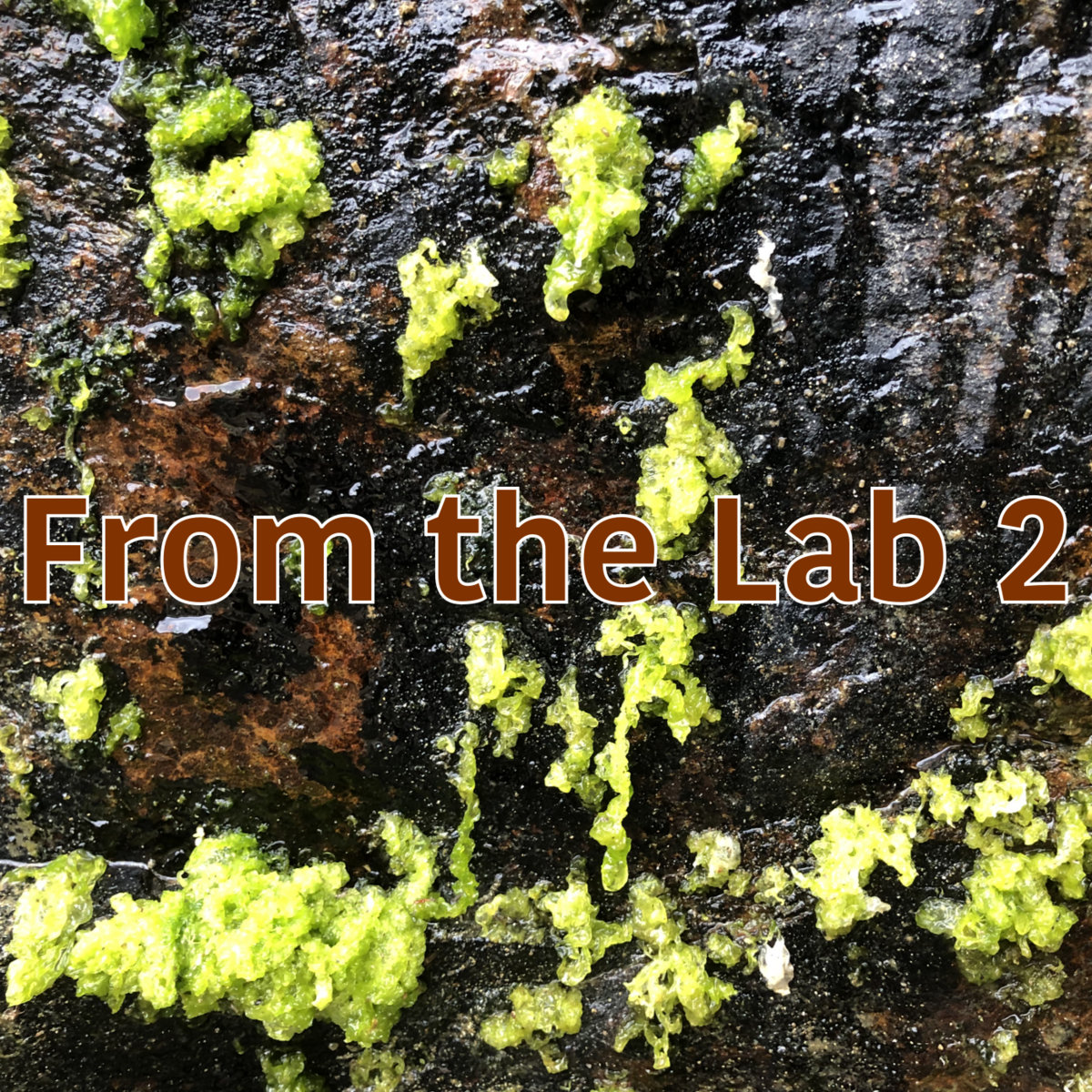 From the Lab 2 (4-tracks) | Yann Le Vot