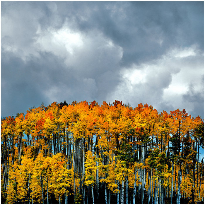 only a feeling | Ella Torres