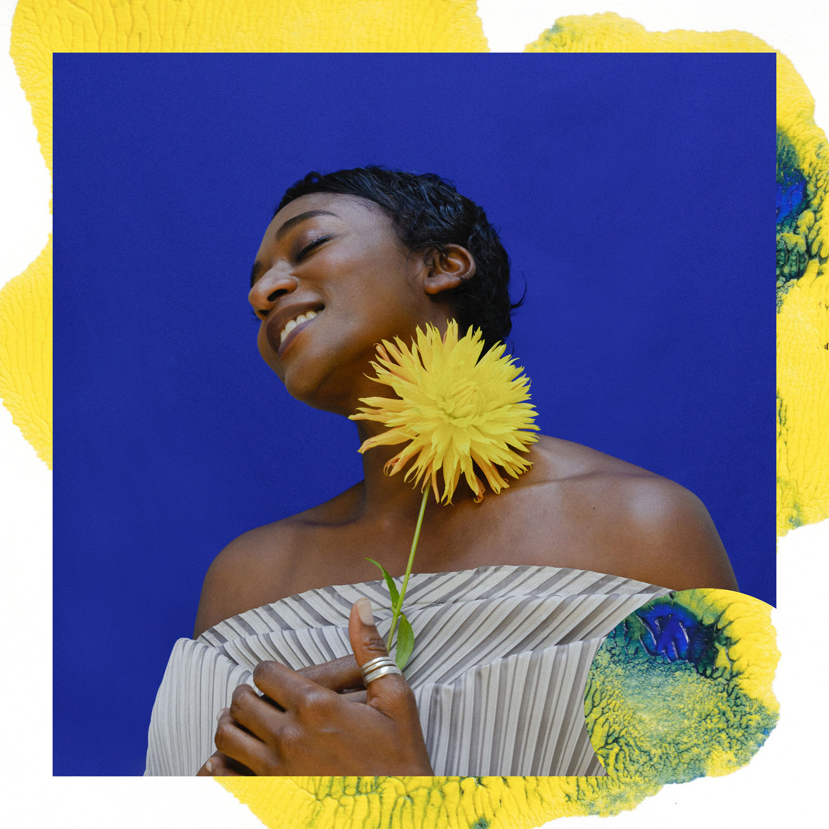 Summer Meadows | ALA.NI