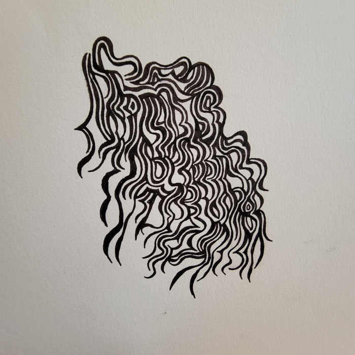 The Diffuse Body | Stupendemys