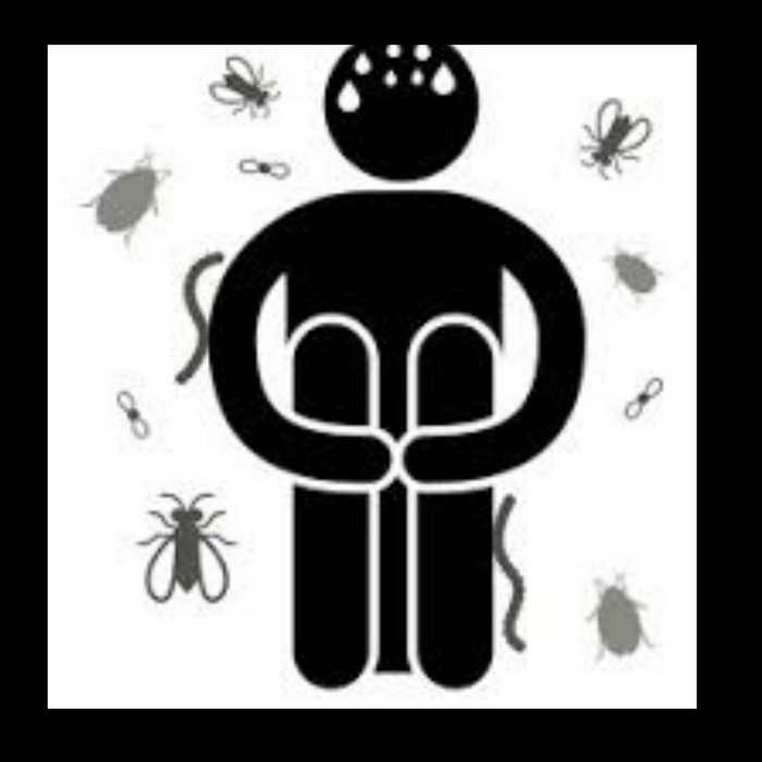 Crippled Insects | Lip Service | Michael Cohen and Liz Sumner